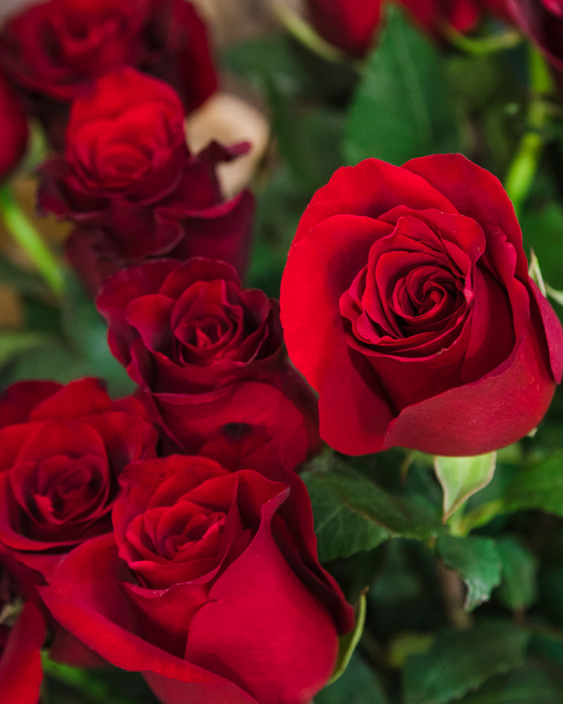 JMM Flowers – Your floral supply destination